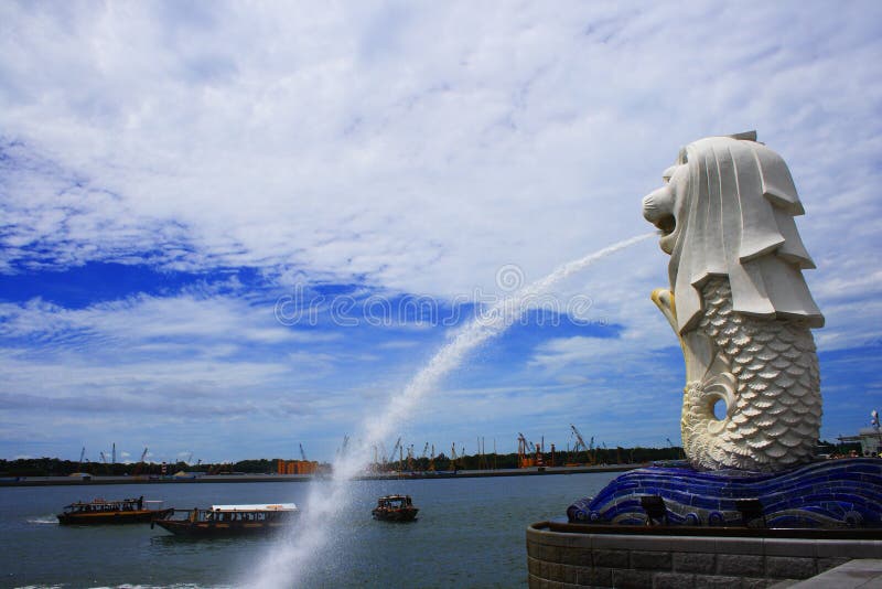 Melion stock photo. Image of tropical, fish, melion, travel - 2378498