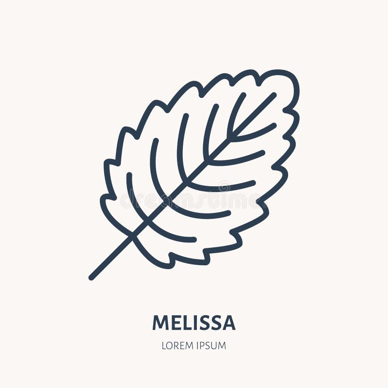 Melissa Flat Line Icon. Medicinal Plant Leaf Vector Illustration Stock ...
