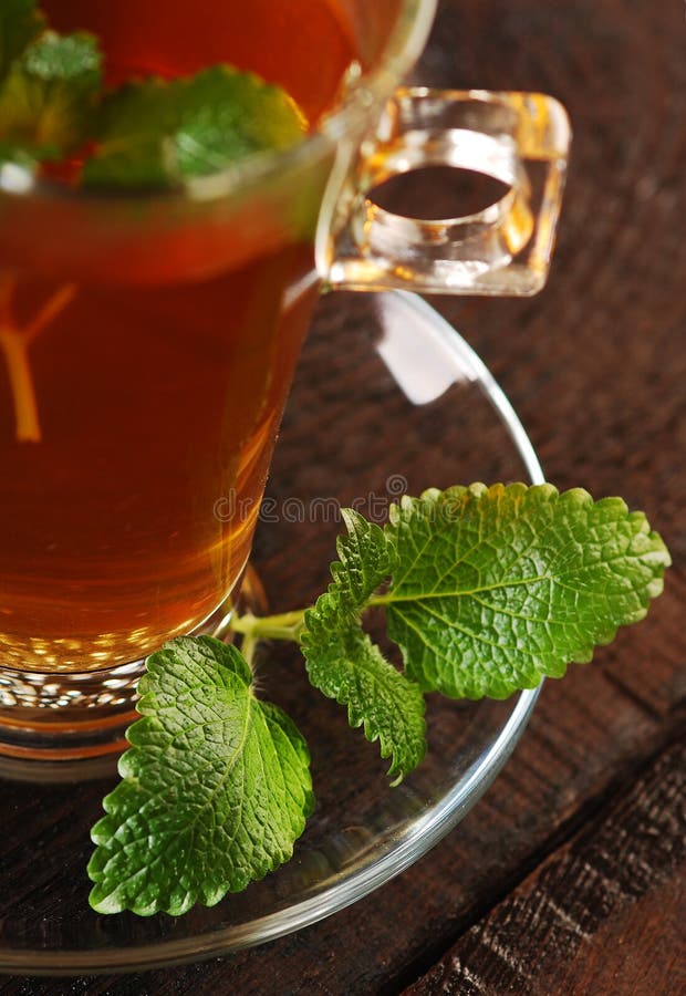 Melissa tea stock photo. Image of rustic, healthy, herbalism - 25334716