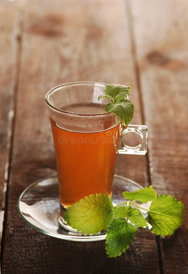 Melissa tea stock image. Image of garden, melissa, leaves - 25334873