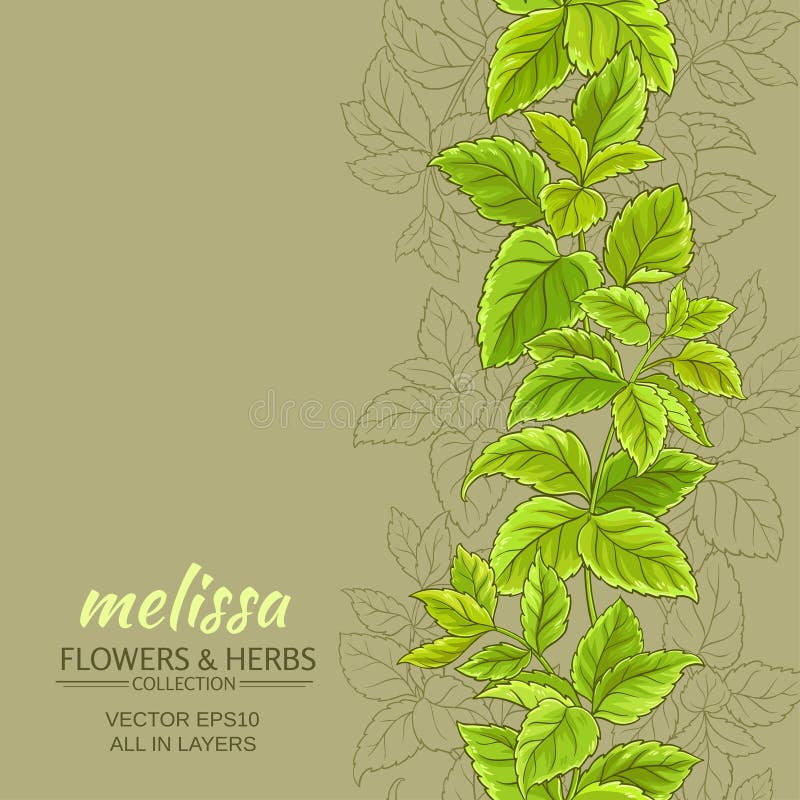 Melissa vector background stock vector. Illustration of detail - 86675379
