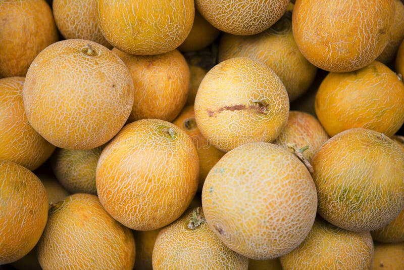 Mellons stock afbeelding. Image of stapel, rots, honing - 41327691