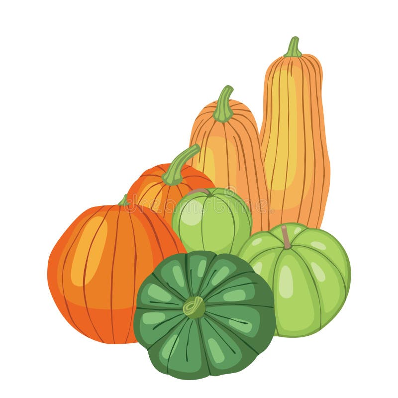 Wintermelon Stock Illustrations – 26 Wintermelon Stock Illustrations ...