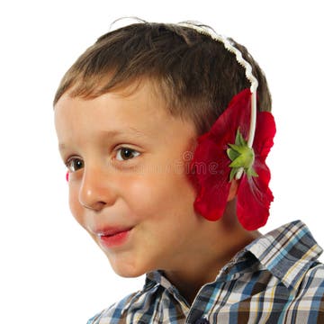 Hark Definition Flower Stock Photos - Free & Royalty-Free Stock Photos ...