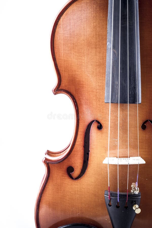 Violin stock photo. Image of strings, orchestra, concert - 3886134
