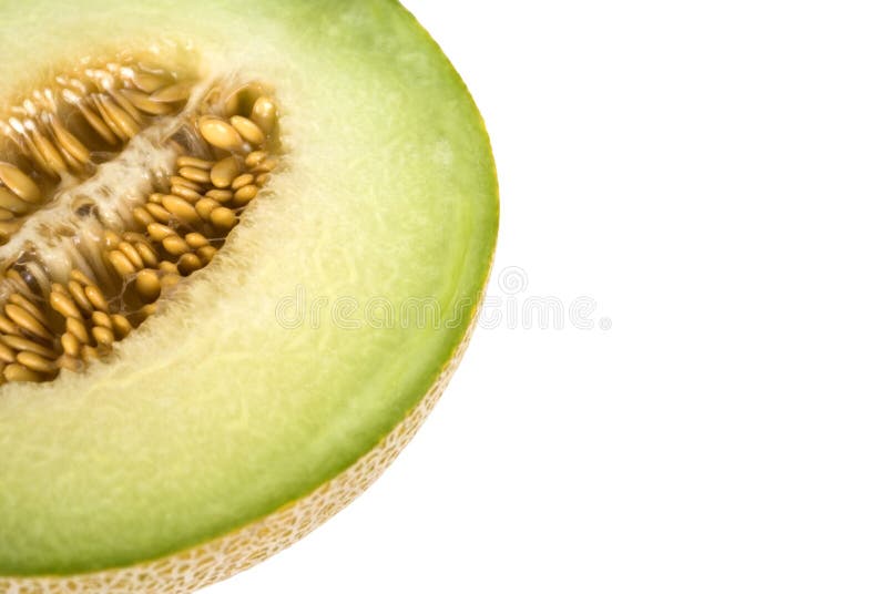 Meloen stock foto. Image of dood, groen, zaad, achtergrond - 5219392