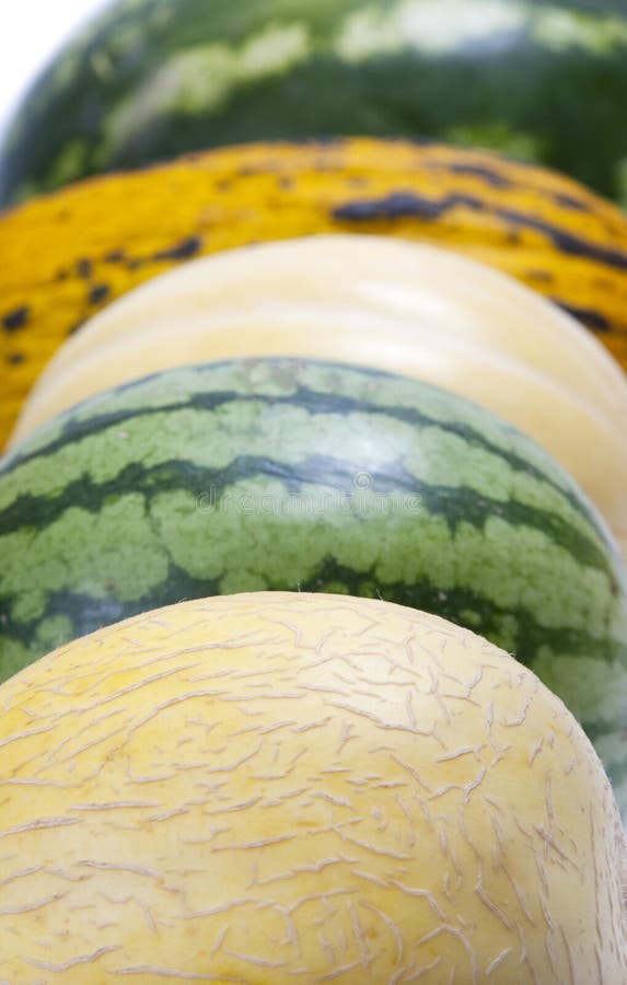 Meloenen stock afbeelding. Image of calorie, ronde, geel - 15312925