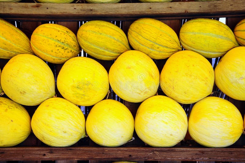 Meloenen stock foto. Image of gastronomisch, vers, versheid - 21391858