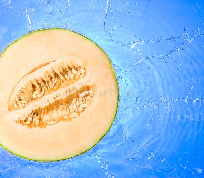Melon stock photo. Image of flowing, drop, sweet, ingredient - 12123550