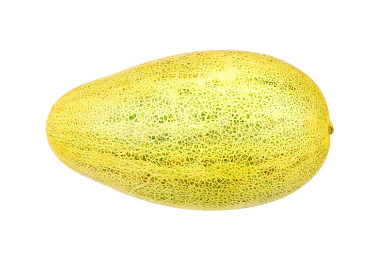 Fruit alcayota stock image. Image of food, edible, cucurbita - 20865633