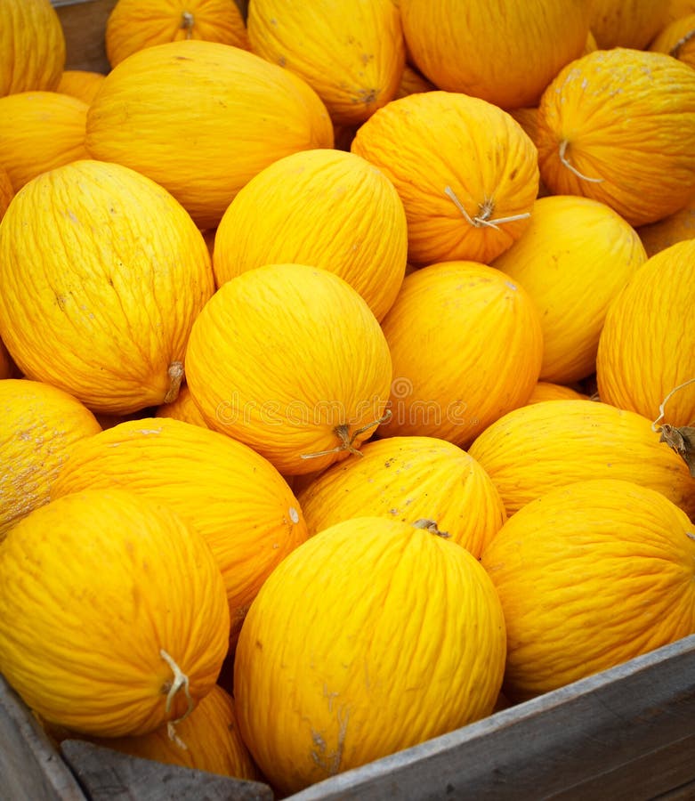 Potatoes stand stock photo. Image of vegetable, nutrition - 19692248