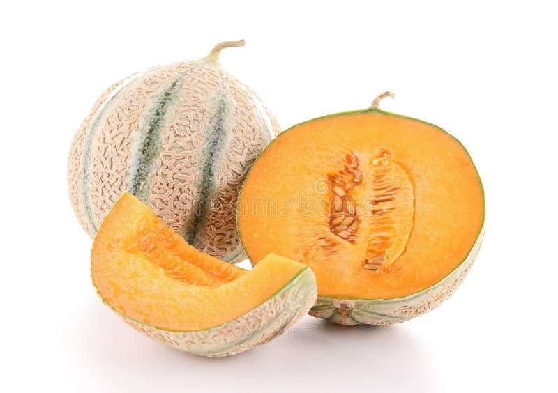 Rock Melons Isolated stock image. Image of snack, sweet - 6028959