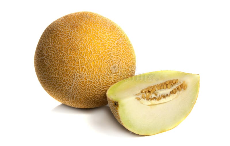 Melon stock image. Image of melon, single, diet, green - 25861715