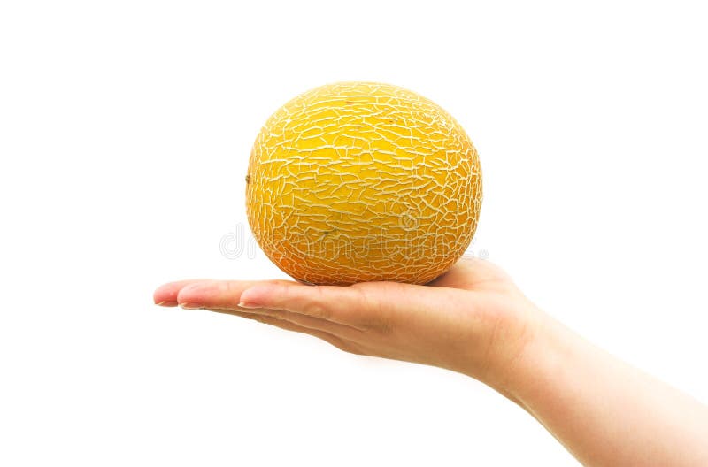 Melon stock photo. Image of hand, attractive, health, life - 2714494