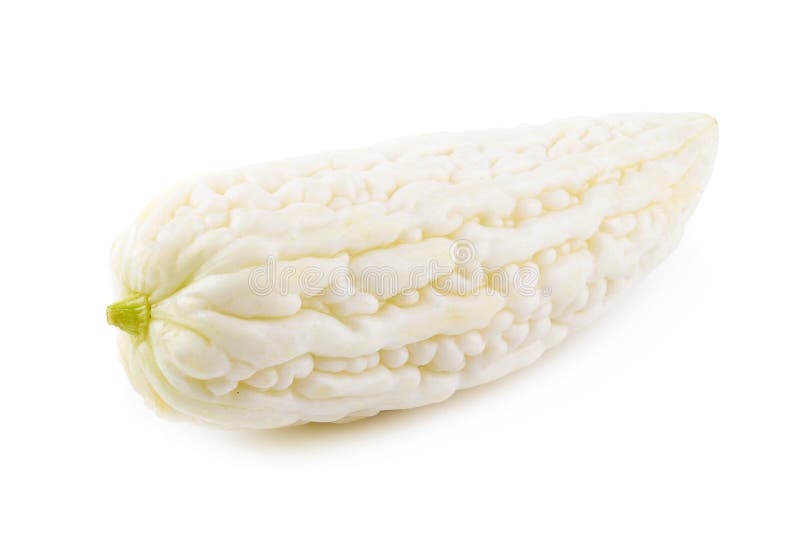 Melon Amer Blanc D'isolement Sur Un Fond Blanc Image stock - Image du ...