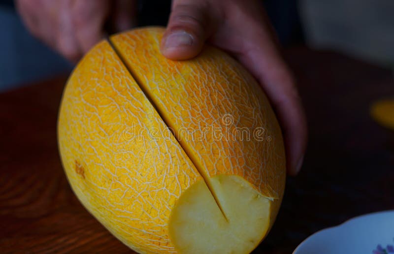 The melon is being cut stock photo. Image of fresh, grip - 224054468