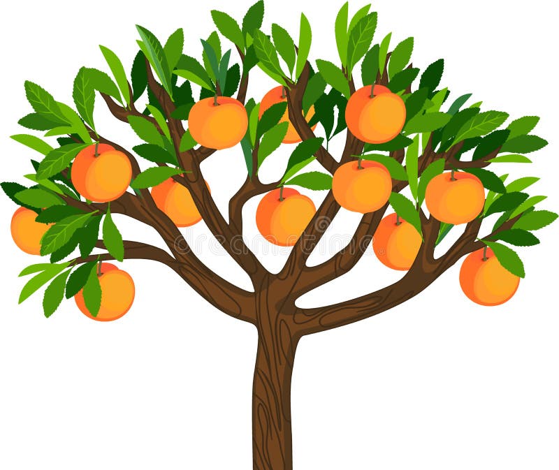 Peach Tree Stock Illustrations – 4,627 Peach Tree Stock Illustrations ...