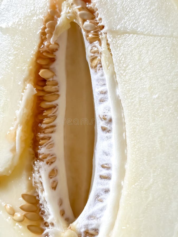 Melon Cut - Inside. Melon Seeds Inside when Cut. Close-up of Melon Pulp ...