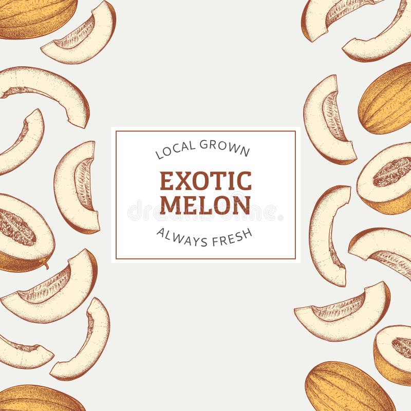 Melon Design Template. Hand Drawn Sketch Style Exotic Fruit ...