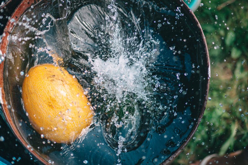 Melon Fall into the Water, Summer Concept, Fruit Splashing Water Stock ...