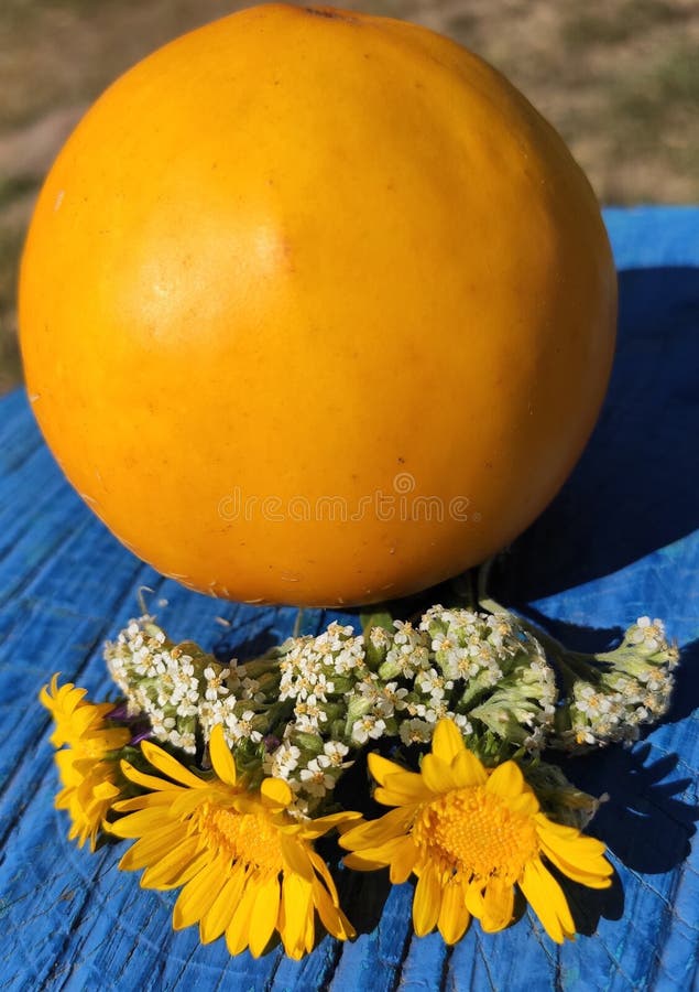 Melon and Flowers on a Painted Log of Tasks. Blurry Background Stock ...
