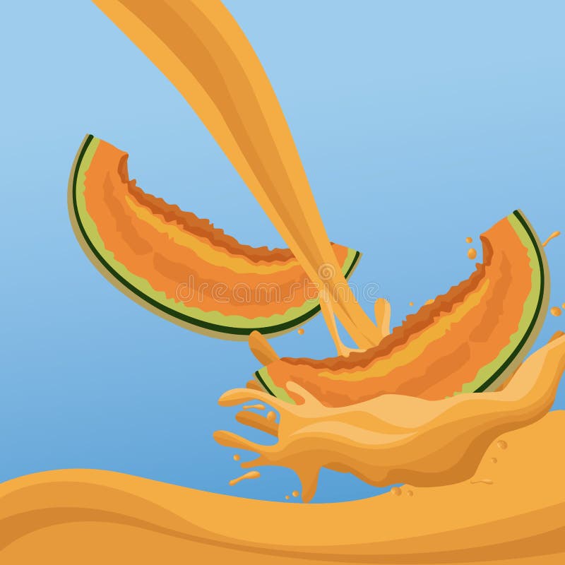 Melon Fruit Splash on Blue Background Stock Vector - Illustration of ...