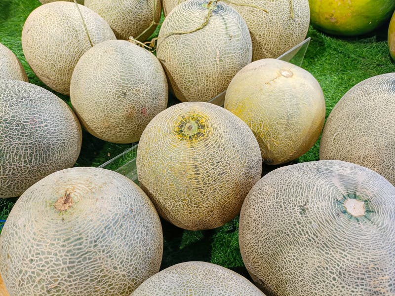 Melon Fruit in a Supermarket Stock Image - Image of grocery, eating ...
