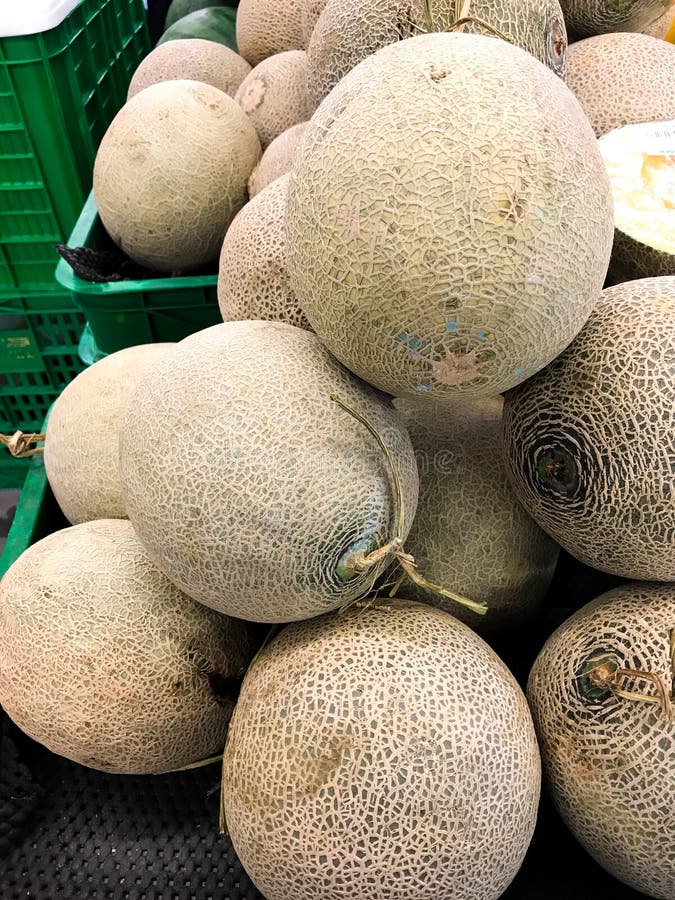 Melon Fruit in Supermarket for Sale Stock Image - Image of orange ...