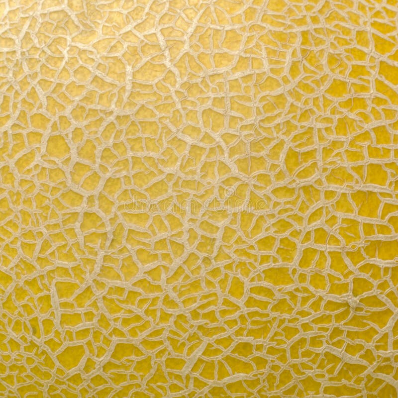 Melon Fruit Texture Pattern Stock Image - Image of melon, rustic: 156268711