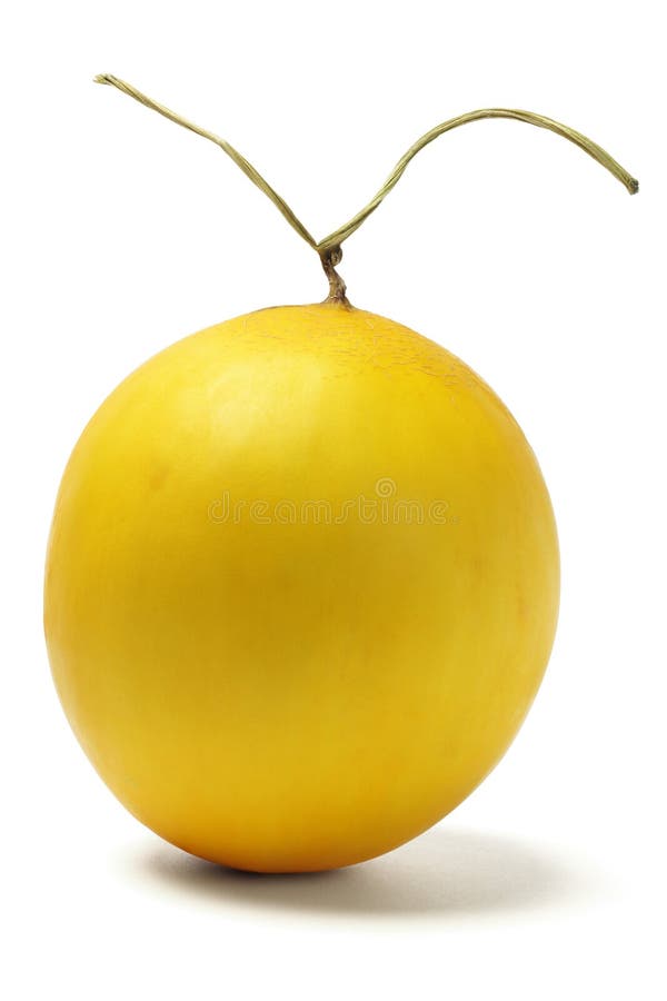 Melon stock photo. Image of close, eating, ripe, yellow - 32169572
