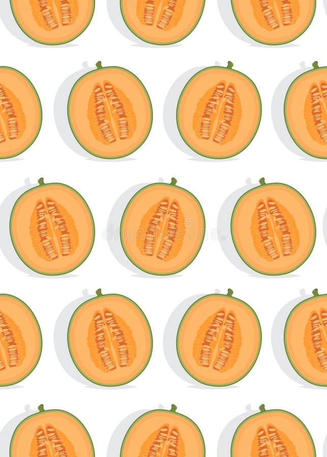 Melon Sliced Seamless Pattern on White Background with Shadow, Fresh Cantaloupe Melon Pattern ...
