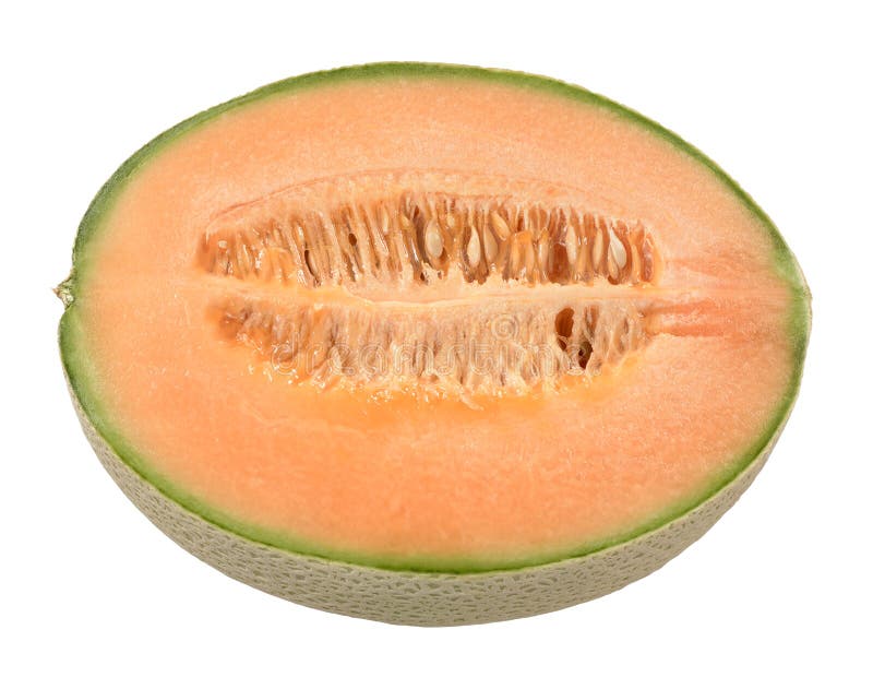 Melon stock image. Image of chunk, netted, sugar, piece - 57419711