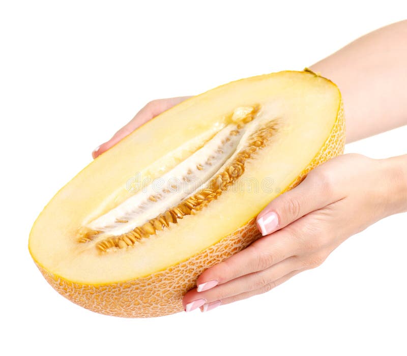 Melon in hand stock photo. Image of bough, pose, refreshment - 120942058