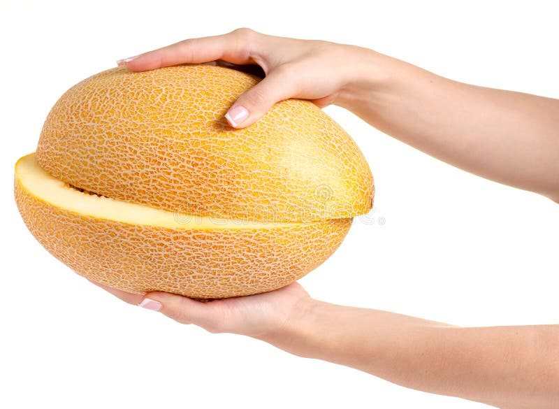 Melon in hand stock image. Image of orange, nature, food - 120941521