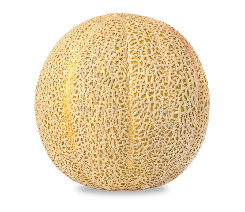 Melon Isolated on White Background. the Vegetable is Fragrant Stock ...