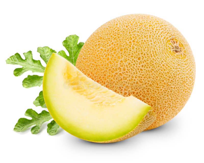 Melon isolated on white stock photo. Image of diet, yellow - 79858126