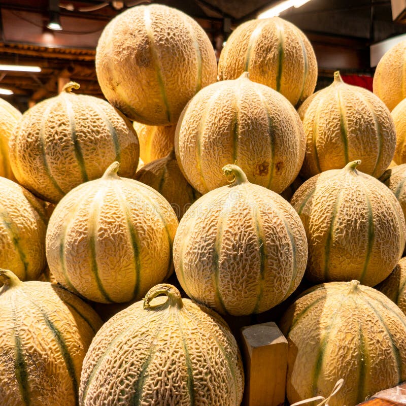 Big melons stall at market stock photo. Image of cassettes - 246074308