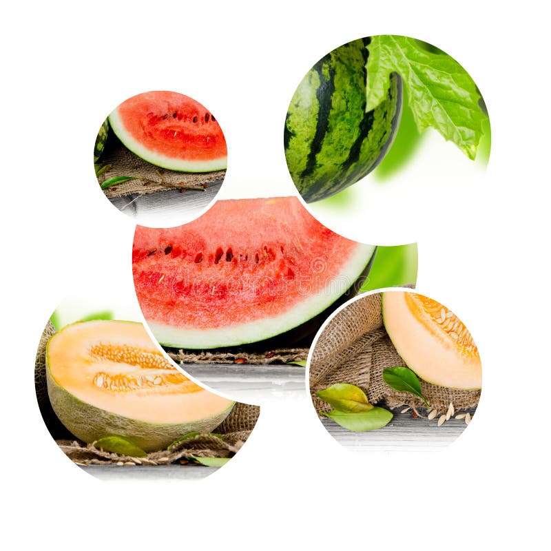 Melon mix stock image. Image of autumn, healthy, fruit - 55736089