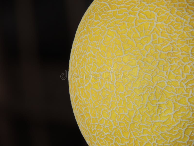 Melon stock photo. Image of orange, round, grid, yellow - 80785776
