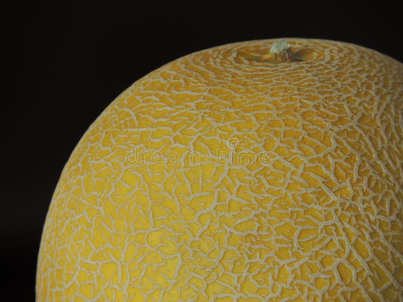 Melon stock photo. Image of skin, center, round, surface - 83048234