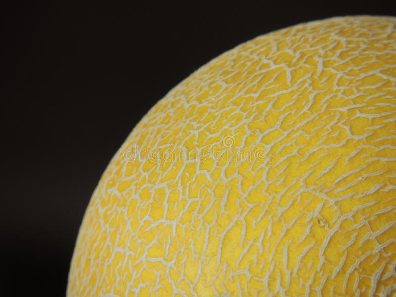 Melon stock photo. Image of melon, yellow, food, pattern - 84969706