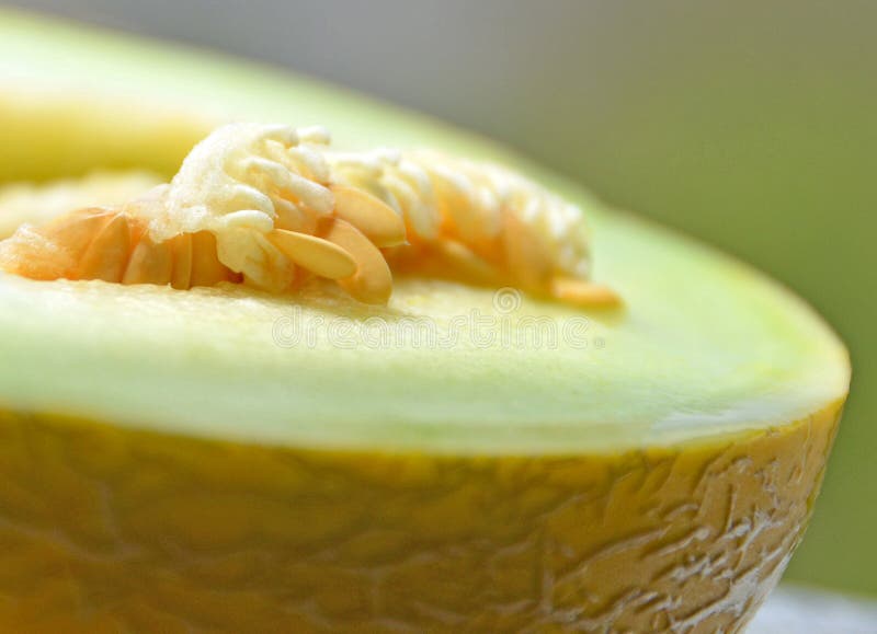 Cut Melon Ripe Fresh stock image. Image of closeup, close - 32174597