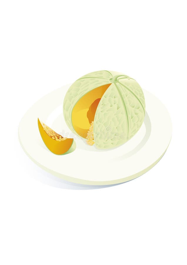 One Melon Stock Illustrations – 1,017 One Melon Stock Illustrations ...