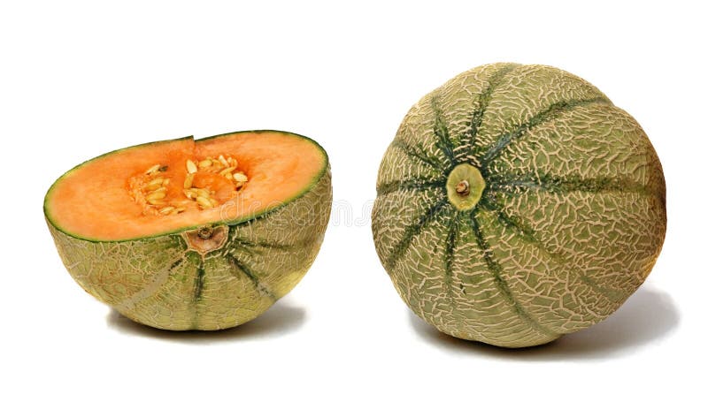 11,622 Melon Section Stock Photos - Free & Royalty-Free Stock Photos ...
