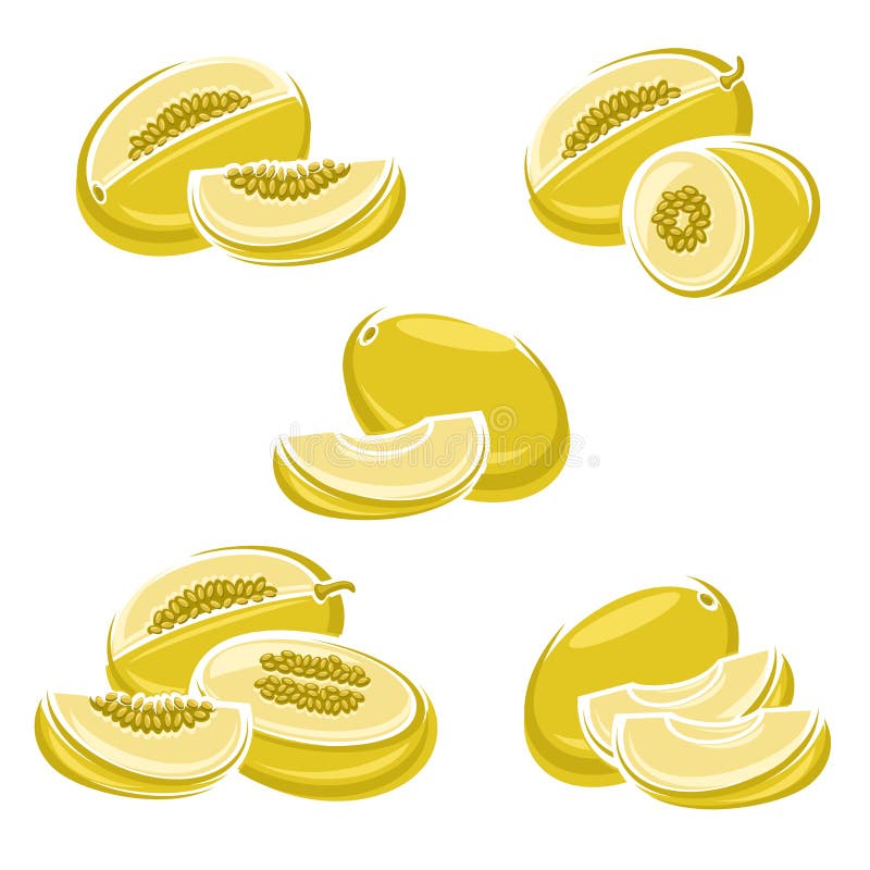Melon set. Vector stock vector. Illustration of piece - 63385507