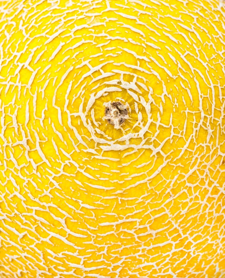 stock photo. Image of fruit, scratchy, flora, aroma - 20557232