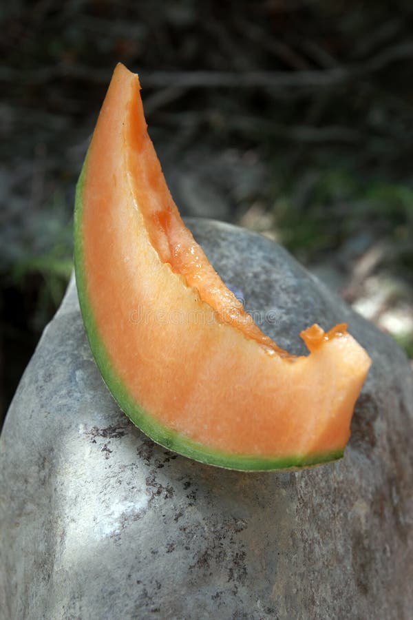 Melon slice stock photo. Image of healthy, fruit, sliced - 26546220