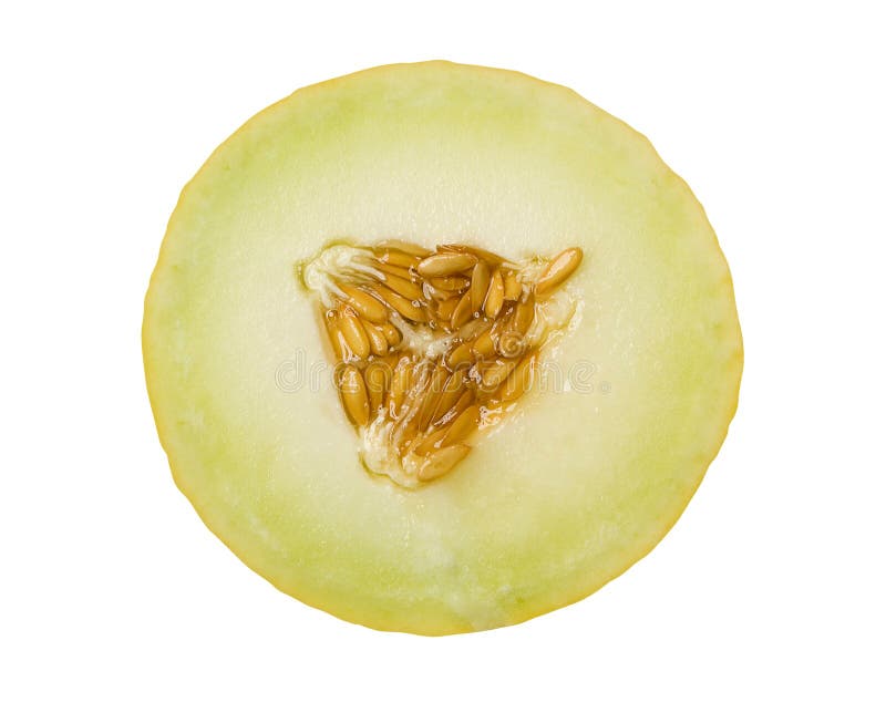 Melon slice stock image. Image of food, melon, fruit, sweet - 9902361