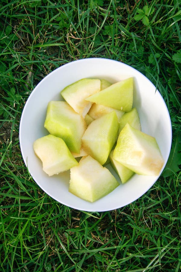 Melon Slices in a Bowl on Grass Stock Photo - Image of grass, slices ...