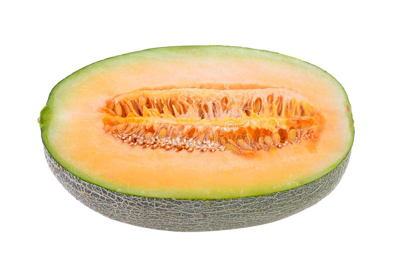 Melon slices isolated stock image. Image of slice, green - 73217533